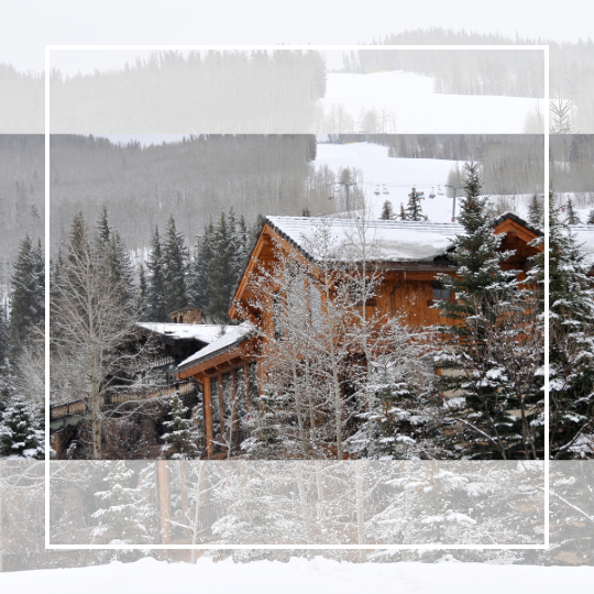 Ashley Campbell - CENTURY 21 Select Placerville